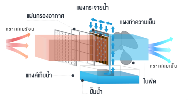 โรงเรือนอีแว๊ป (Evap) ปลูกพืชได้ทุกฤดู – KUBOTA (Agri) Solutions